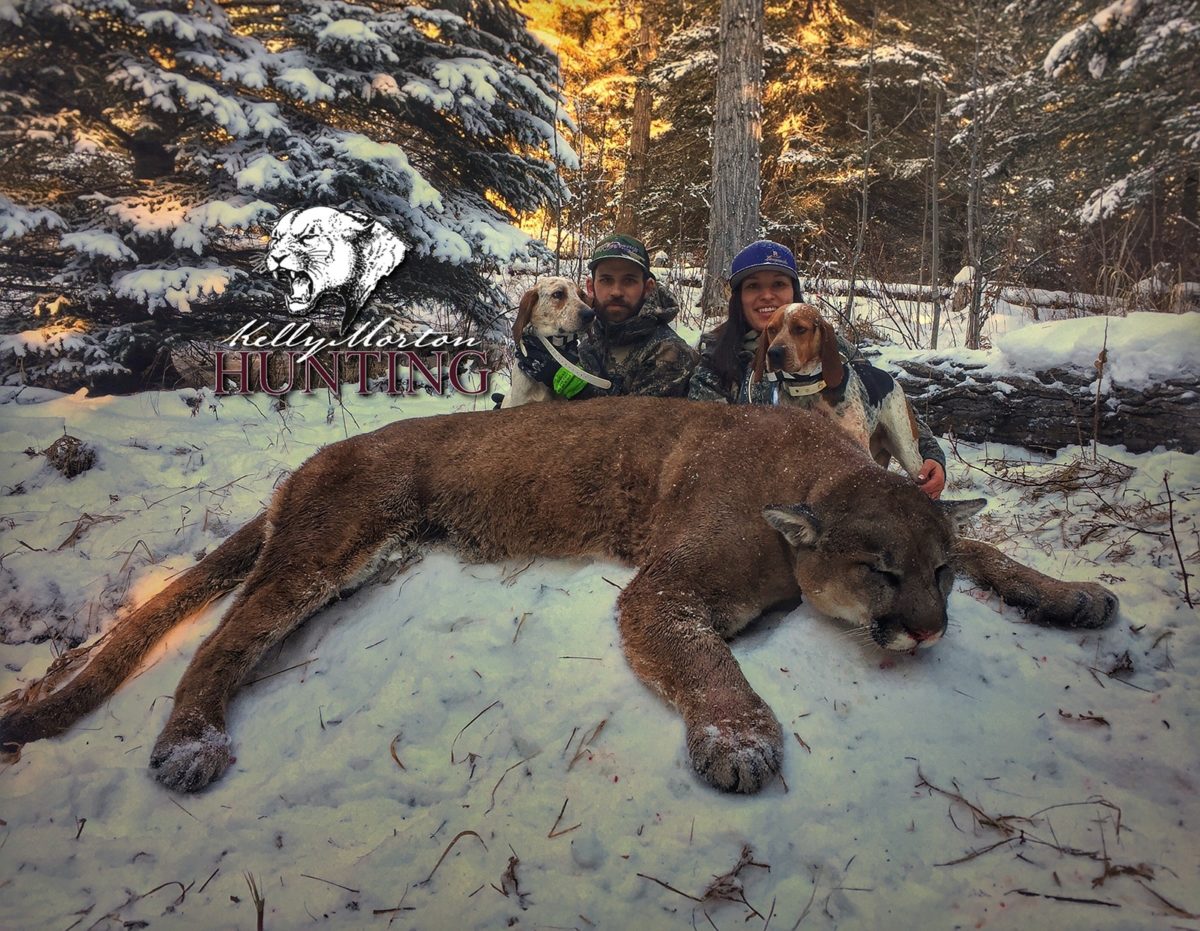 Canadian Cats – Kelly Morton Hunting